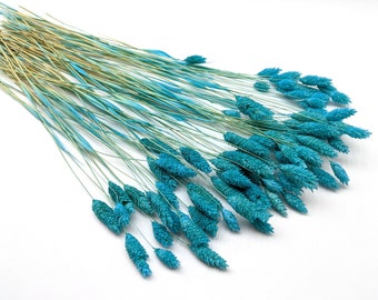 Blue Dried Flowers | Etsy