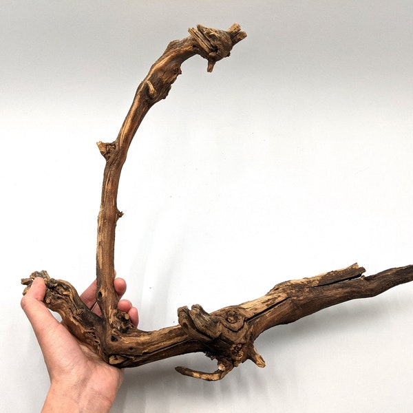 Grapewood Branch - Etsy
