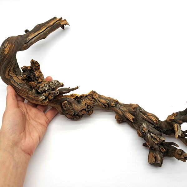 Grapewood Branch - Etsy
