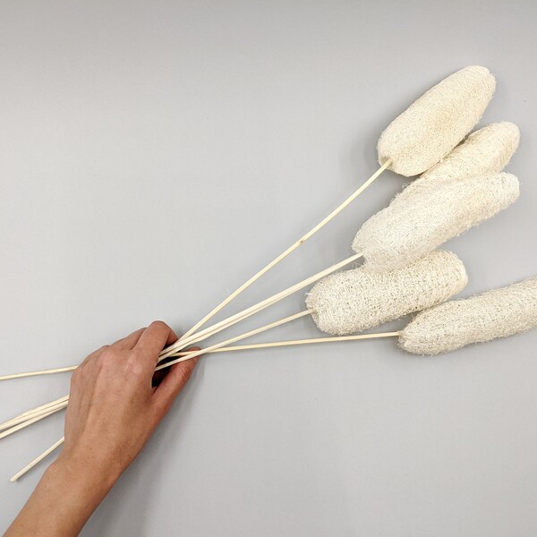 Luffa Sponge - Etsy