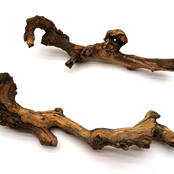 Wood Branches - Etsy