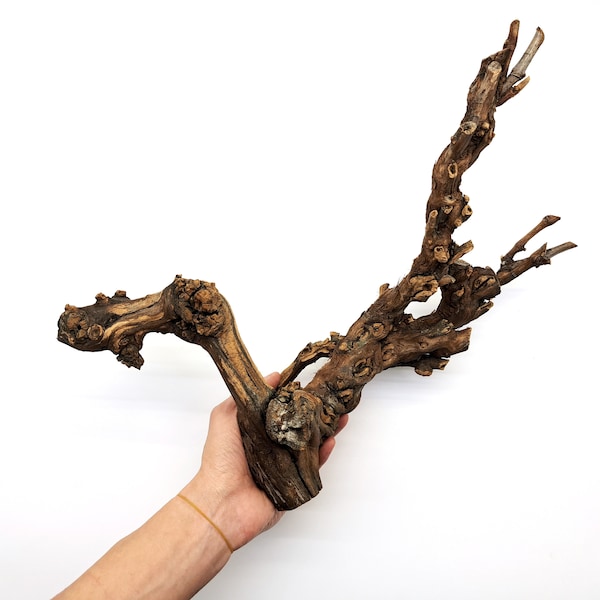 Grapewood Branch - Etsy