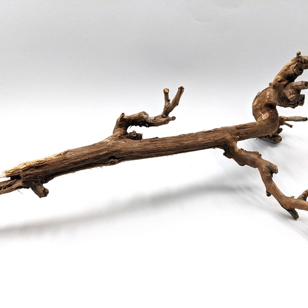 Grapewood Branch - Etsy