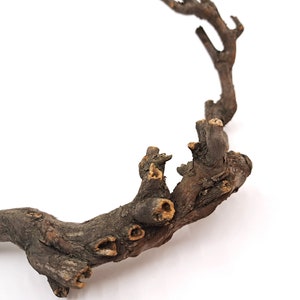 11'' Grapewood Branch for Decoration, Dried Terrarium Branch, Real ...