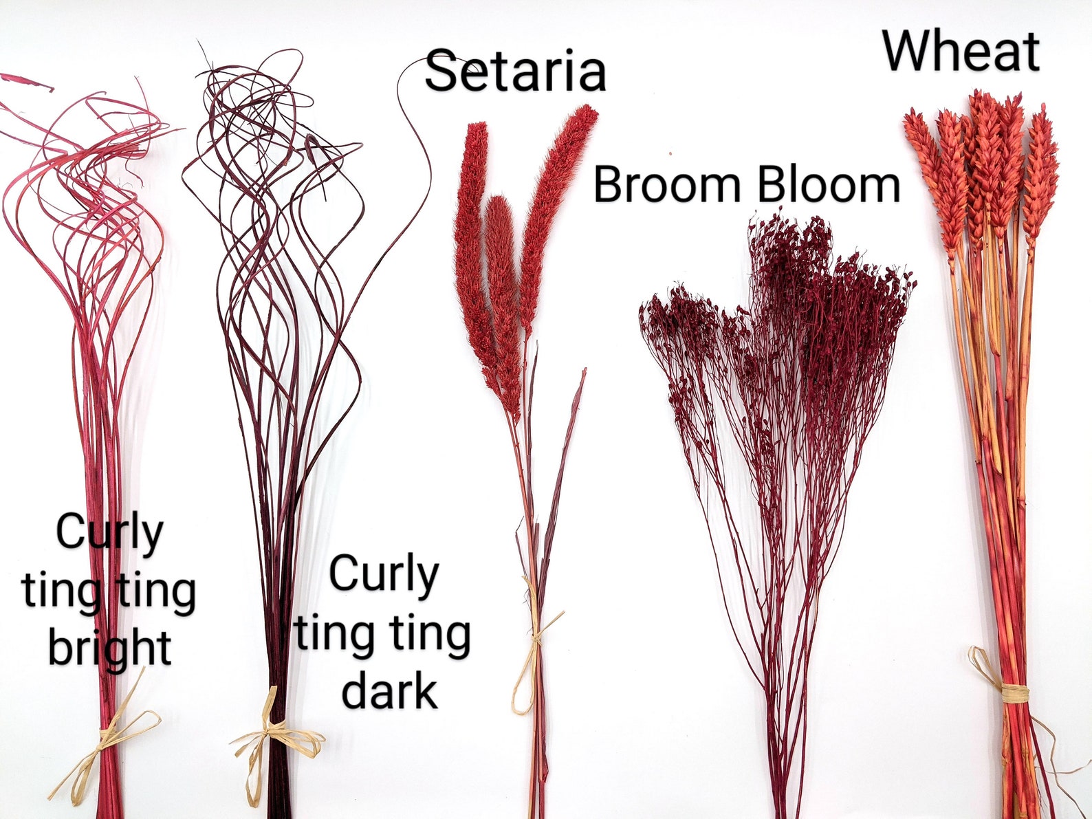 Mini Dried Bunches in Red Red Dried Flowers Small Flower - Etsy