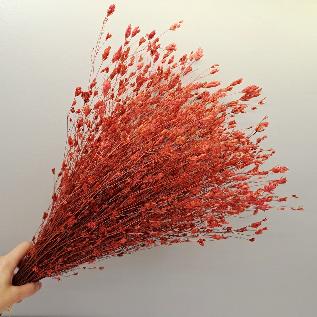 Fall Dried Wild Flowers, Fall Wedding Flowers, Rust Orange Flowers ...