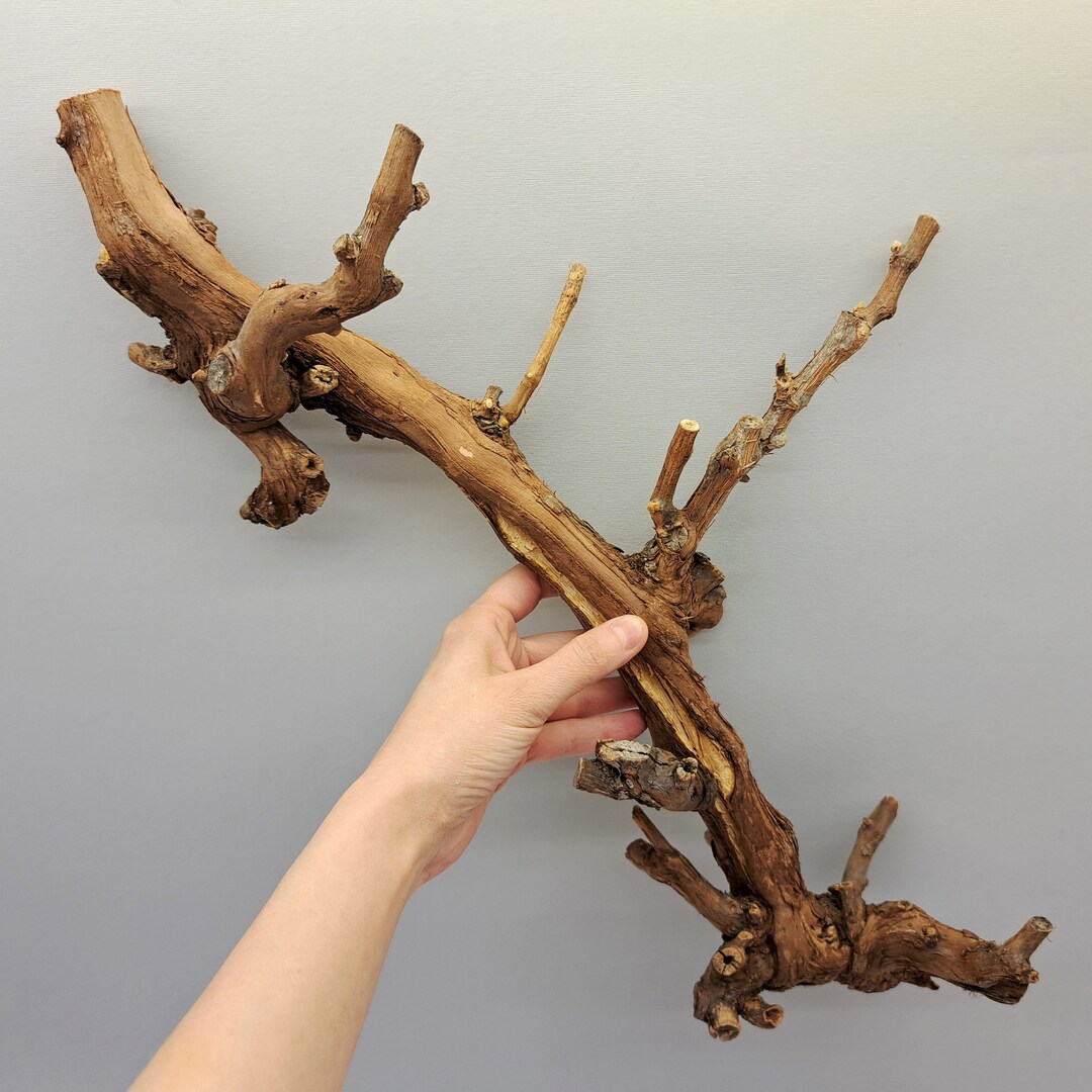 20.5'' Large Natural Wood Branch, Vine Wood Branch, Natural Wood ...