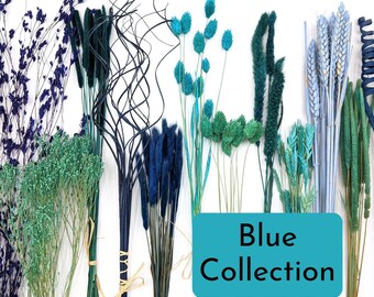 Blue Pressed Flowers,a Pack of 12 PCS Dry Pressed Flowers,dried Flower ...