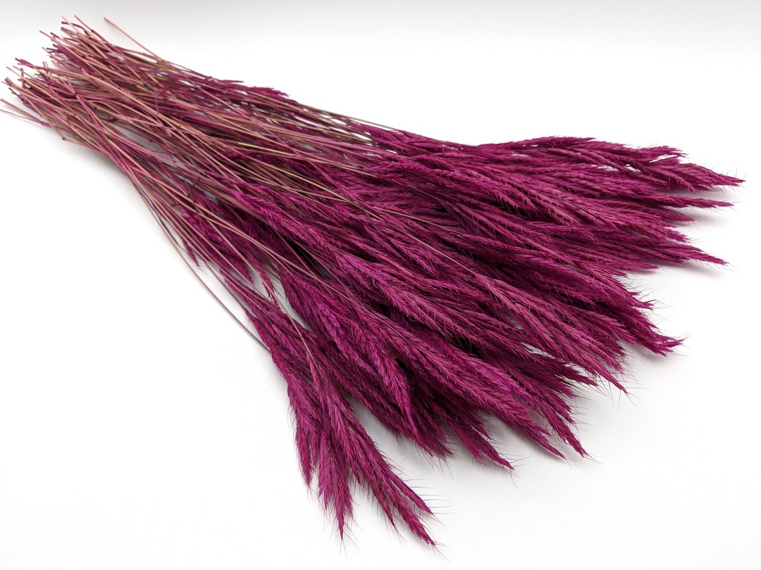 Violet Dried Flowers, Purple Dried Flowers Violet Wildflowers, Violet ...