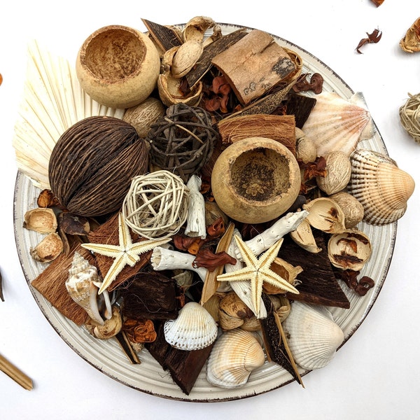 Seashore Decor - Etsy