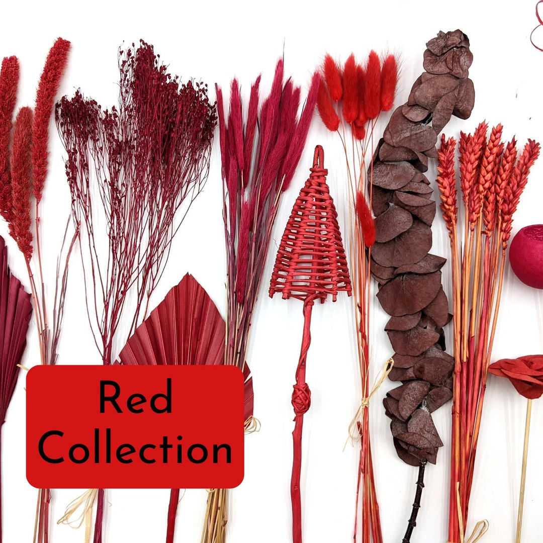 Mini Dried Bunches in Red, Red Dried Flowers, Small Flower Bundles, Red ...