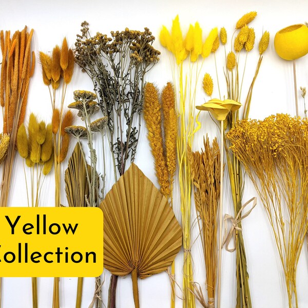 Yellow Dried Flowers - Etsy
