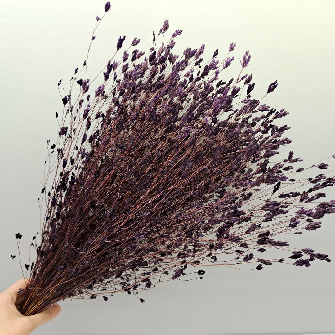 Dark Purple / Indigo Flowers, Dried Purple Flowers, Wildflowers Bundle ...