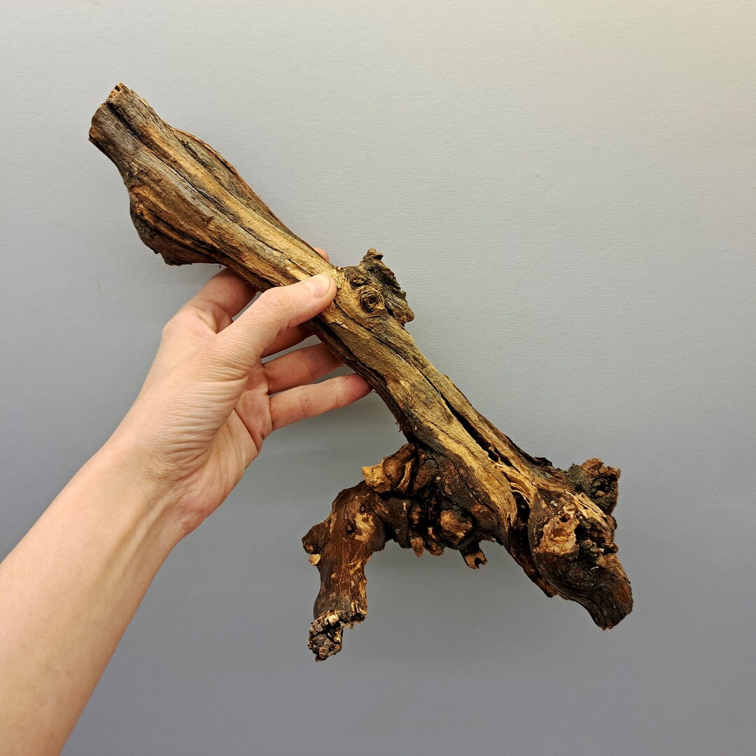 Small Grapevine Branch, Dried Grapewood Branch, Small Wood for Decor ...