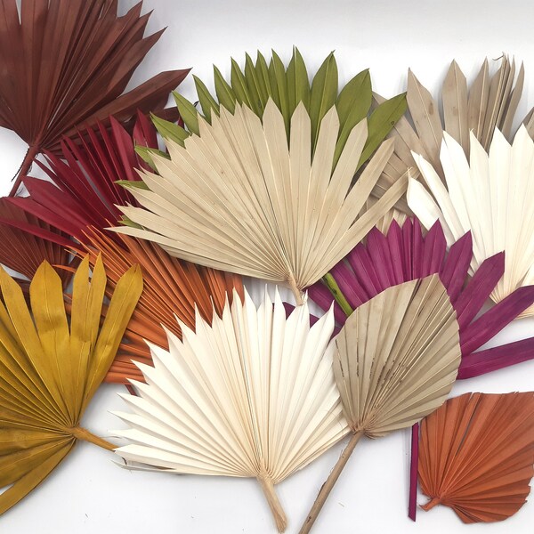 Dried Palm Leaves - Etsy