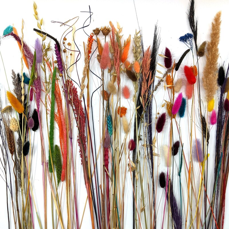 Dried Plants - Etsy