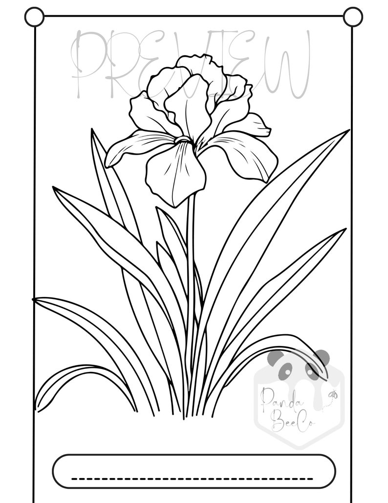 Amidst the Flowers Coloring Pages - Different Types of Flowers Coloring ...