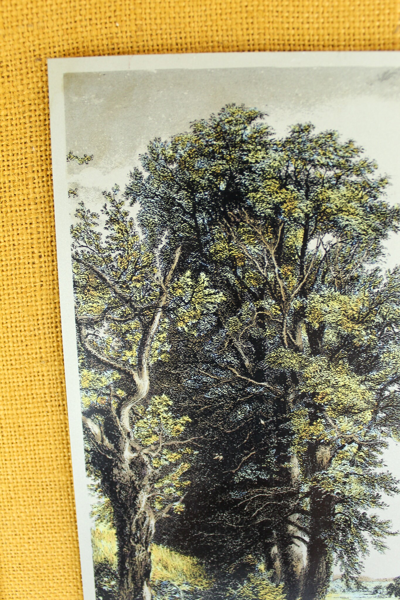 Titanium Etching Hand Painted by Artist Jo Parish, Made by Lewis ...