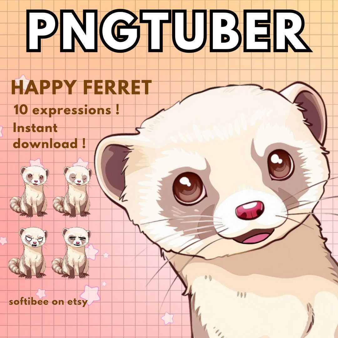 Ferret Pngtuber Model ! X10 V-tuber Premade Png Tuber | Ferret Vtuber Model | Kawaii | Veadotube ...