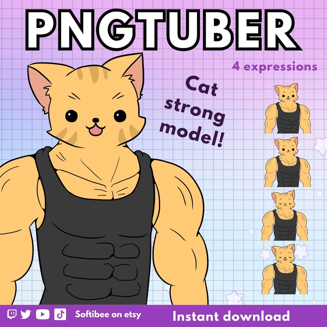 Cat Pngtuber Funny Gym Bro ! 4x Orange Cat Pre-made Vtuber Male Model ...