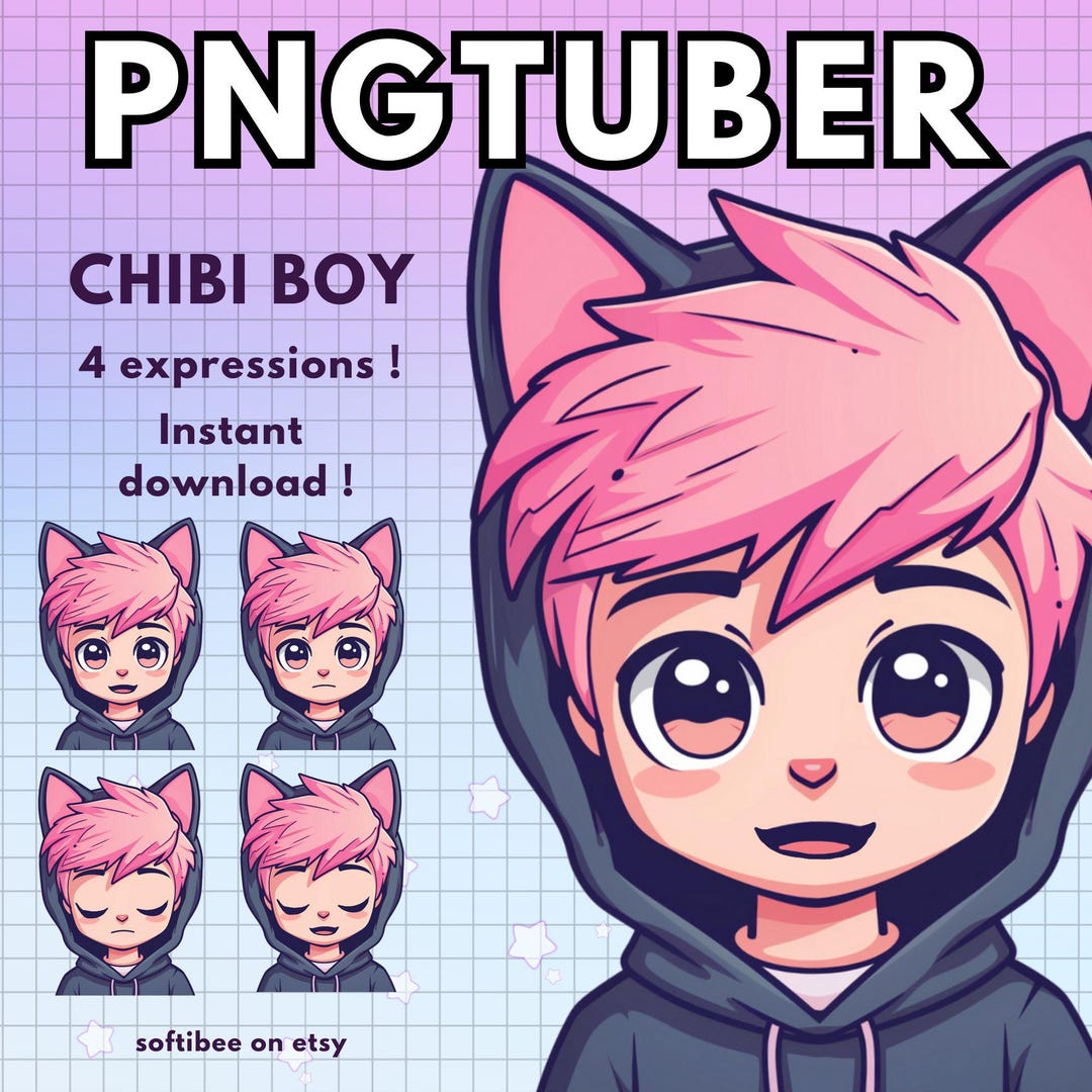 Vtuber Male Chibi Cat Boy Pink / Pngtuber Model Men / Boy With Hoodie ...
