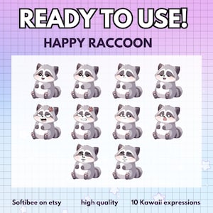 Vtuber Racoon Pngtuber Model for Twitch | 10x Png Tuber Reactive ...