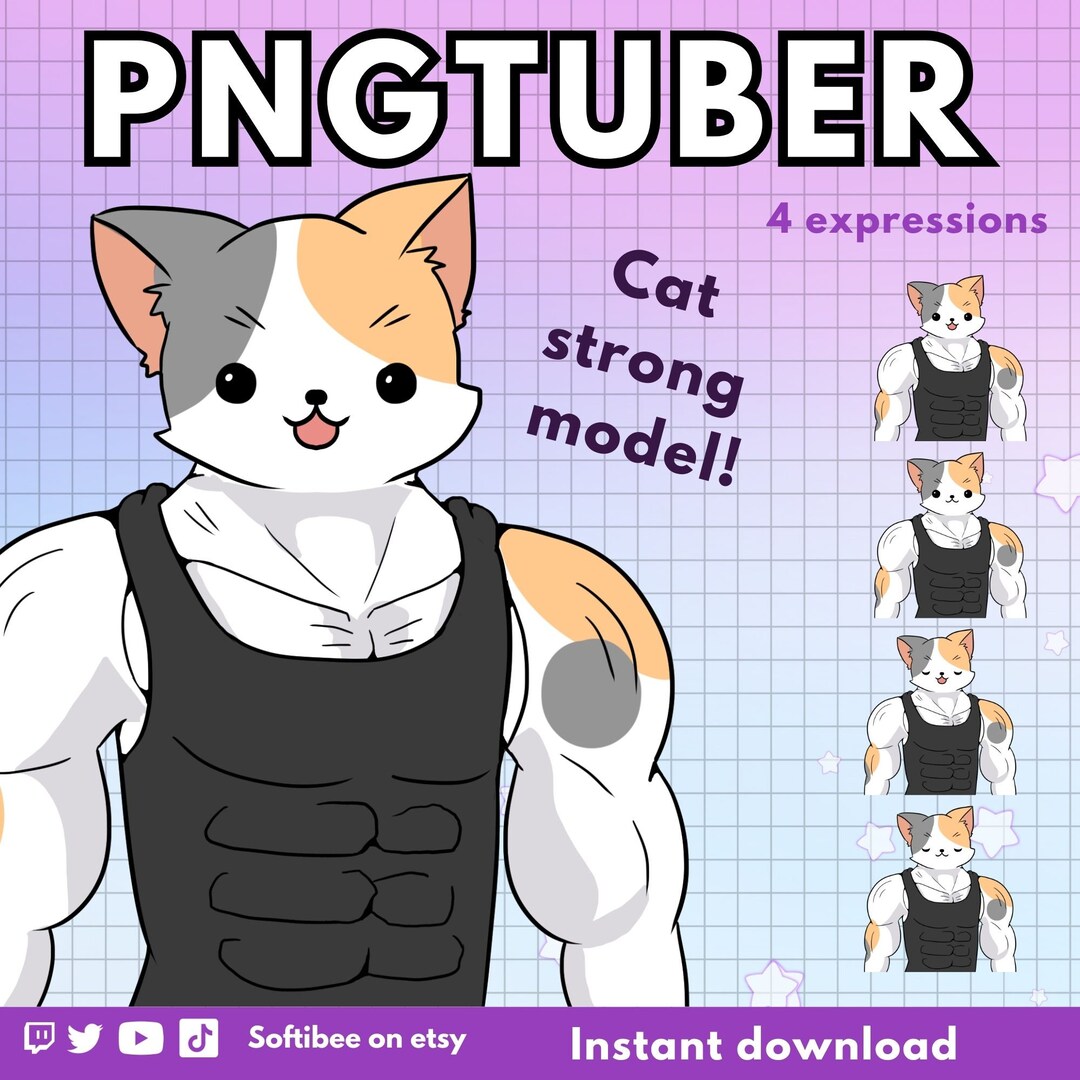 V-tuber Cat Pngtuber Male Model | 4x Vtuber Model Male Gym Bro ...