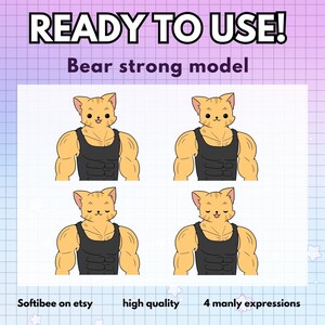 Cat Pngtuber Funny Gym Bro ! 4x Orange Cat Pre-made Vtuber Male Model ...