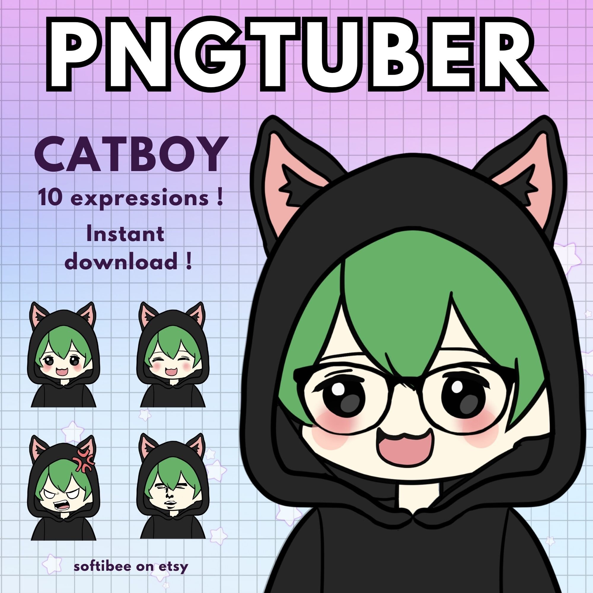 Boy Pngtuber Male Avatars 10x Catboy Vtuber Model Male With Green Hair ...