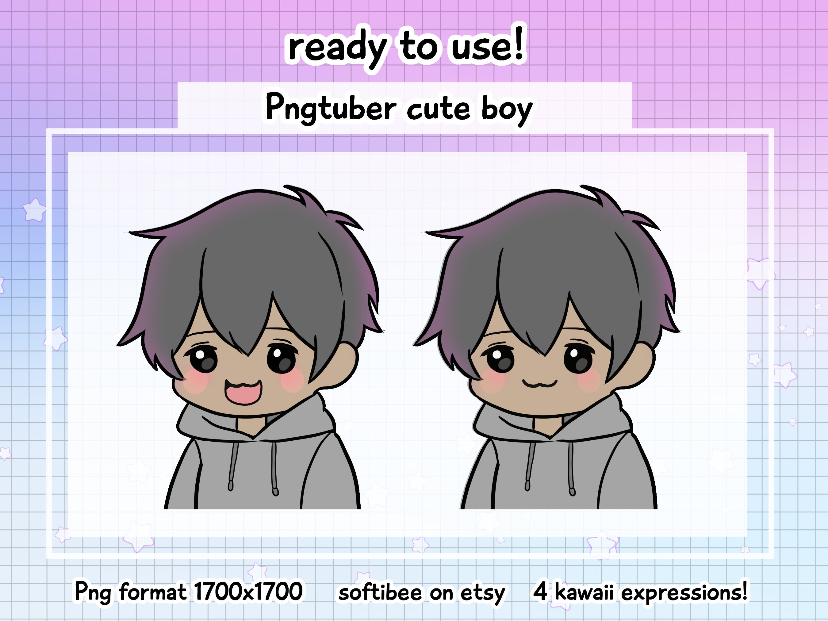 Vtuber Model Male Chibi Boy | Pngtuber Premade for Twitch Streamers ...