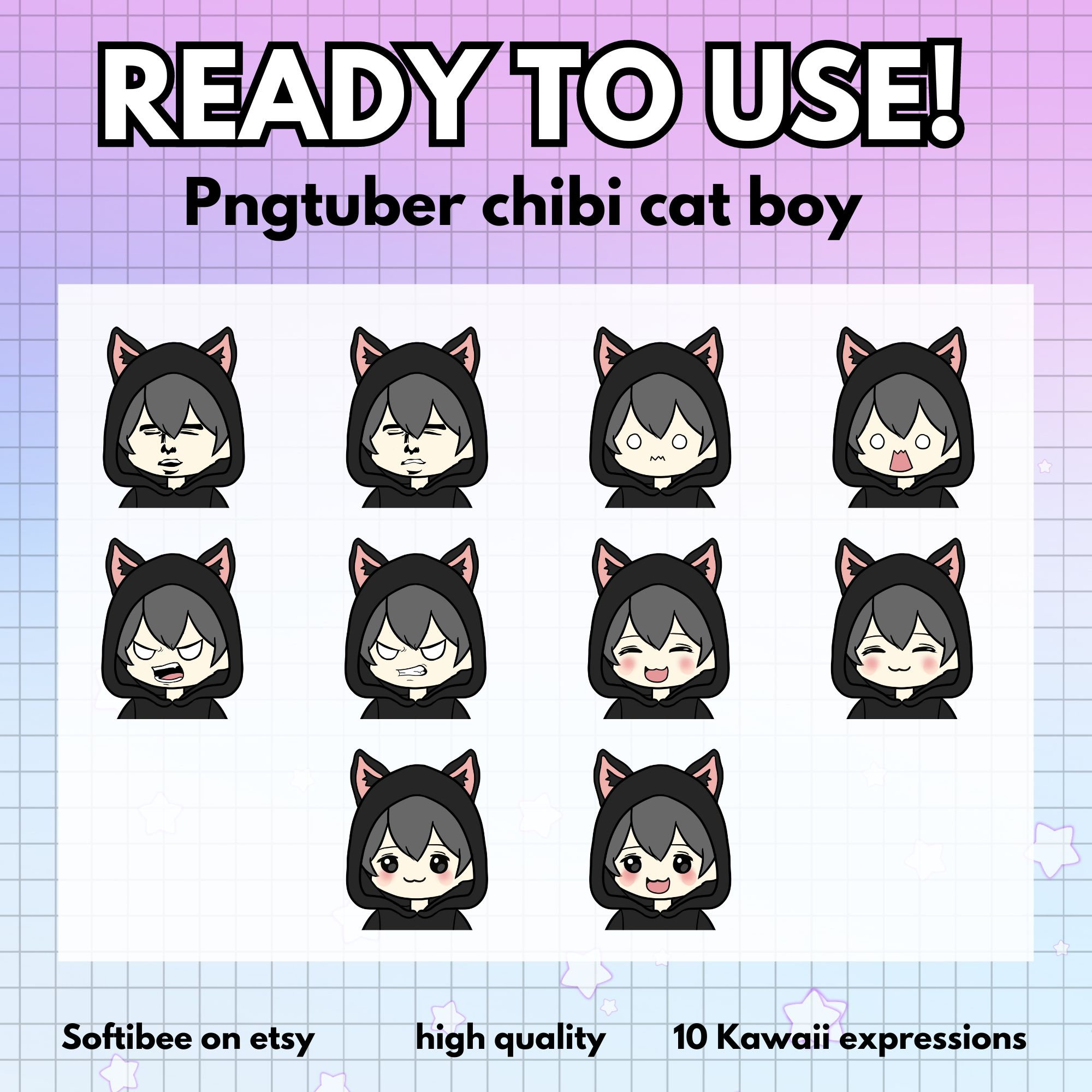 Vtuber Male Chibi Cat Boy Black / Pngtuber Model Men / Boy - Etsy Canada