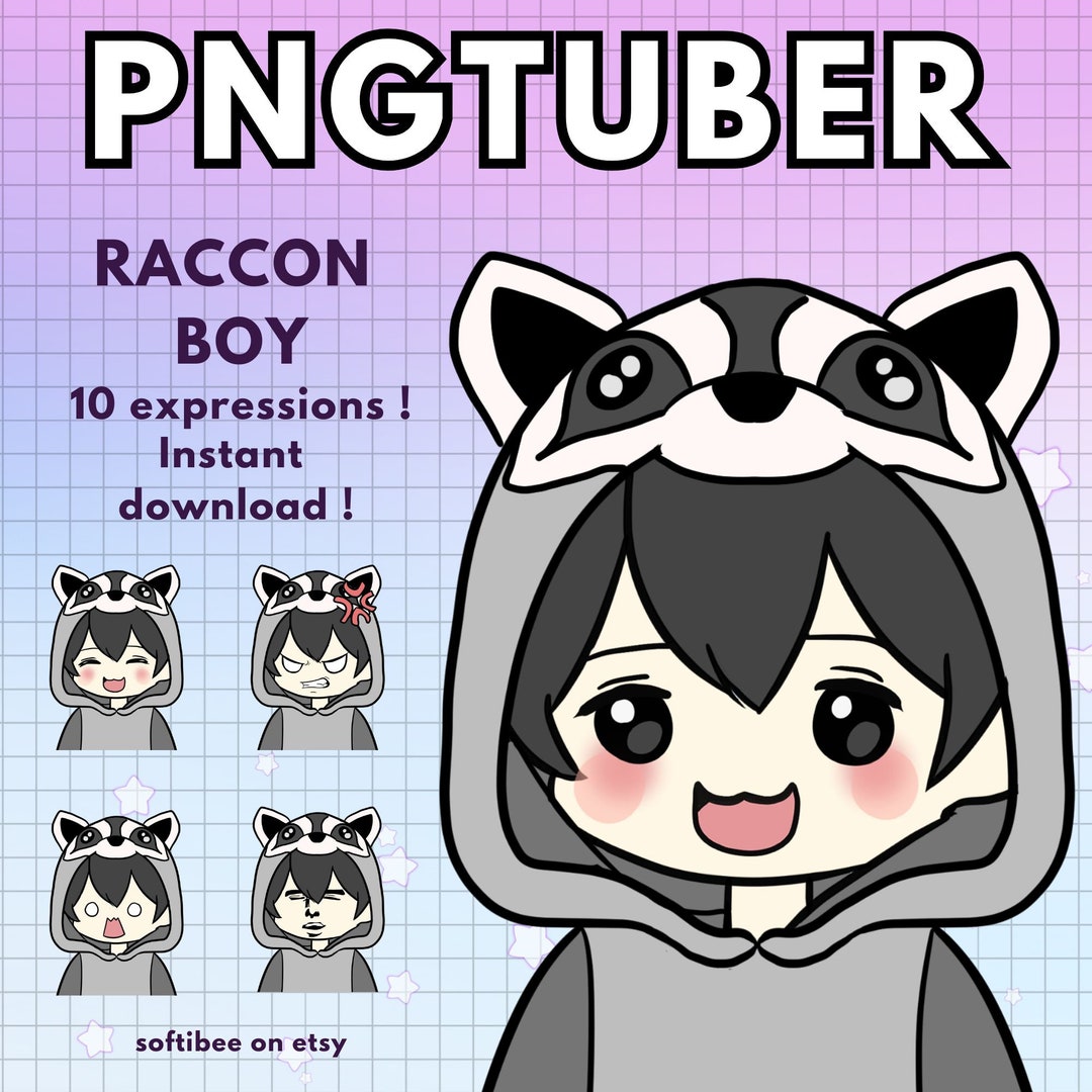 Vtuber Racoon Boy Pngtuber Model for Twitch | 10x Png Tuber Reactive Discord Avatars | Vtube V ...