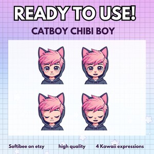 Vtuber Male Chibi Cat Boy Pink / Pngtuber Model Men / Boy With Hoodie ...