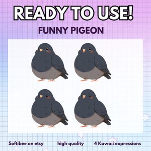 Pigeon Pngtuber Twitch Bird Vtuber Model for Streaming | 4x PNG Tuber ...