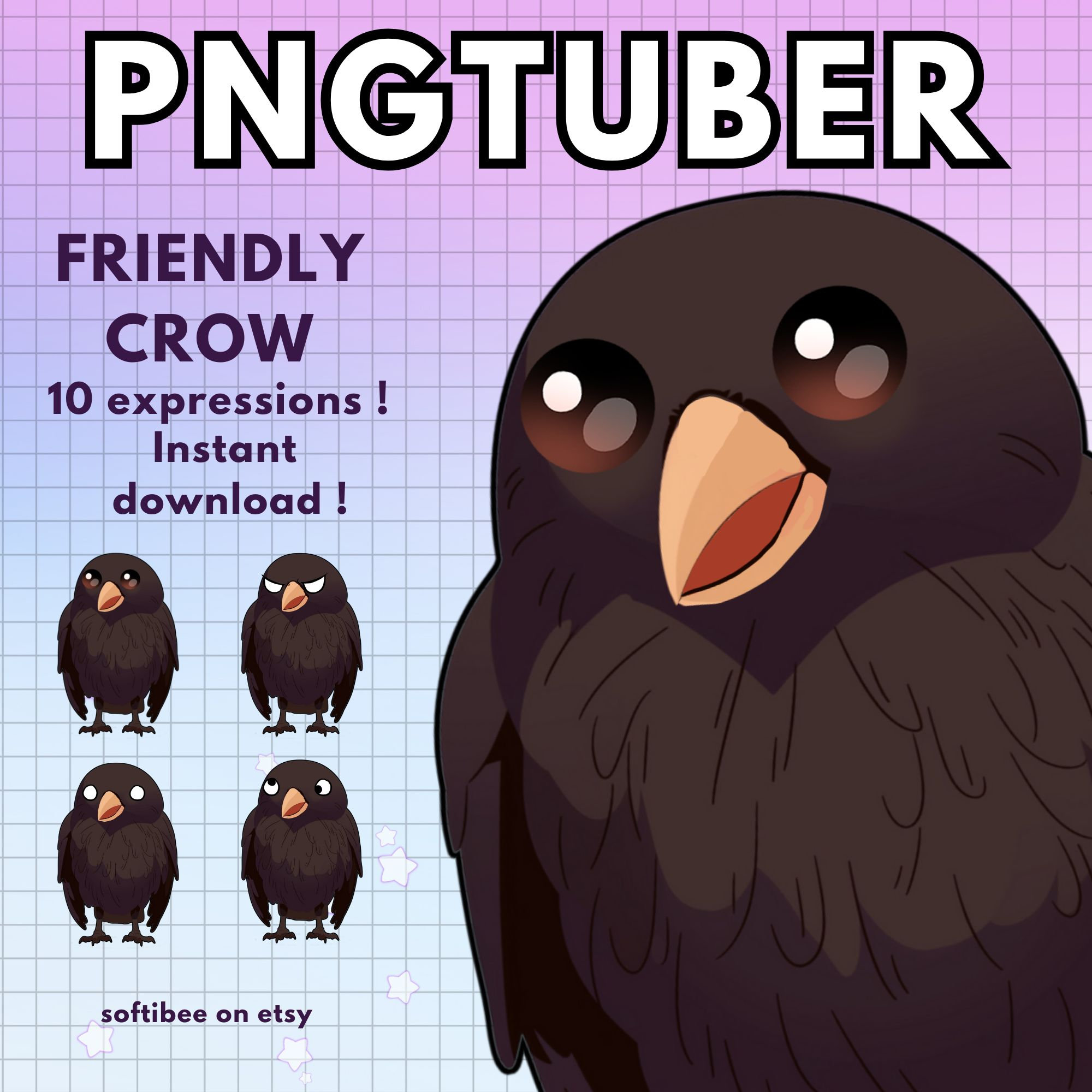 Crow Pngtuber ! X10 V-tuber Premade Png Tuber | Black Vtuber Model ...