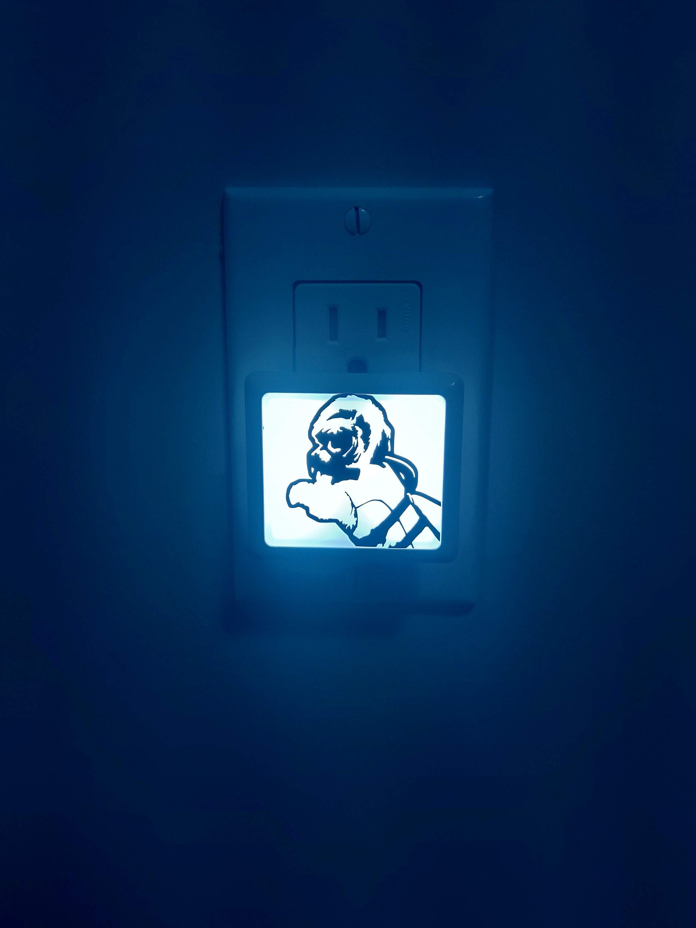 Custom Plug-in Night Light | Affordable Personalized LED Lights ...