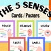 The 5 Senses Posters - Printable | Pre-k, Kindergarten Classroom ...
