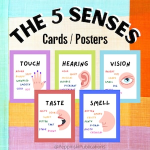 The 5 Senses Posters - Printable | Pre-k, Kindergarten Classroom ...