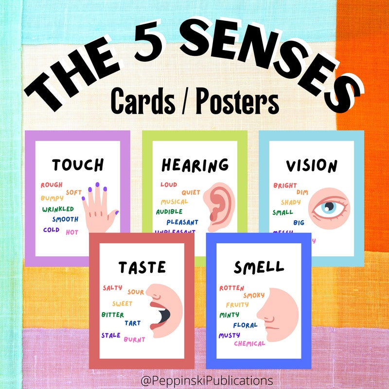 Five Senses Preschool - Etsy