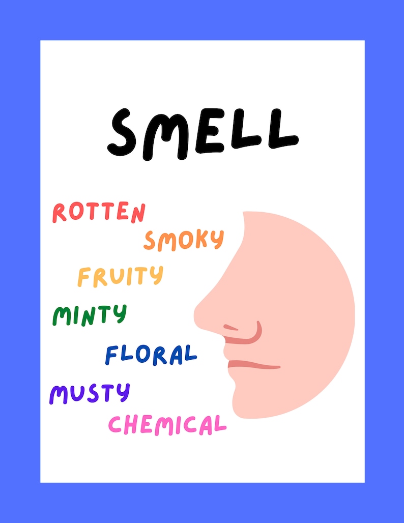 The 5 Senses Posters - Printable | Pre-k, Kindergarten Classroom ...