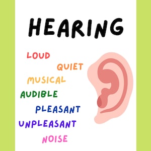 The 5 Senses Posters - Printable | Pre-k, Kindergarten Classroom ...