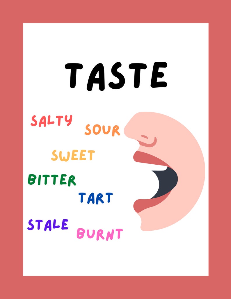 The 5 Senses Posters - Printable | Pre-k, Kindergarten Classroom ...