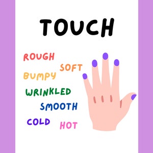 The 5 Senses Posters - Printable | Pre-k, Kindergarten Classroom ...