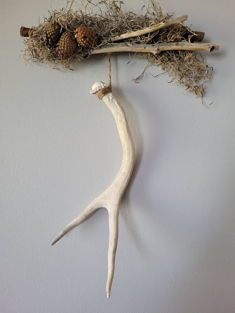 Antler Wall Hanging - Etsy