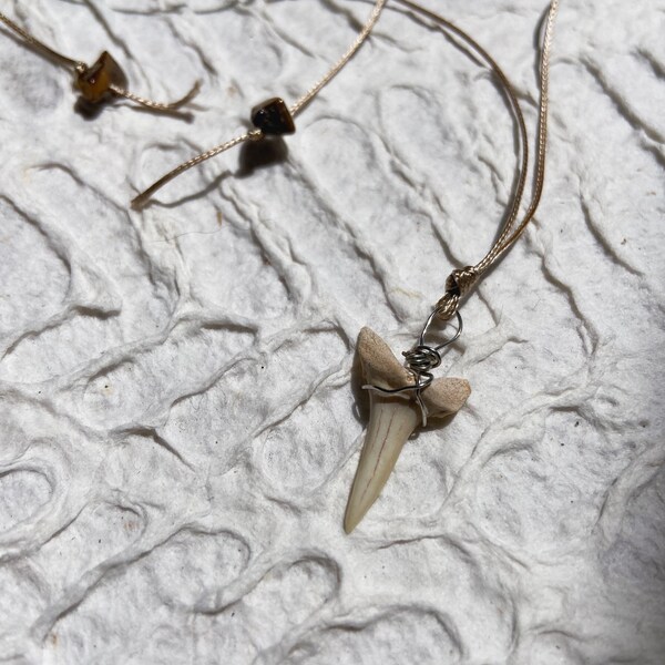 Sharktooth Necklace - Etsy
