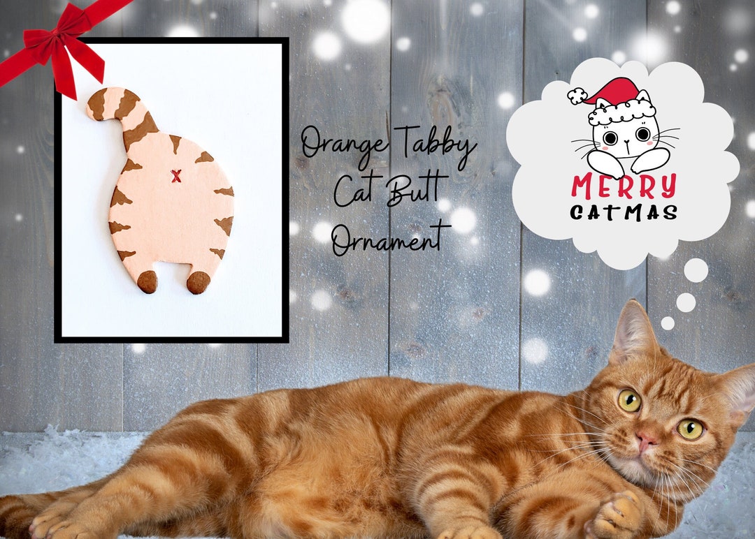 Orange Tabby 