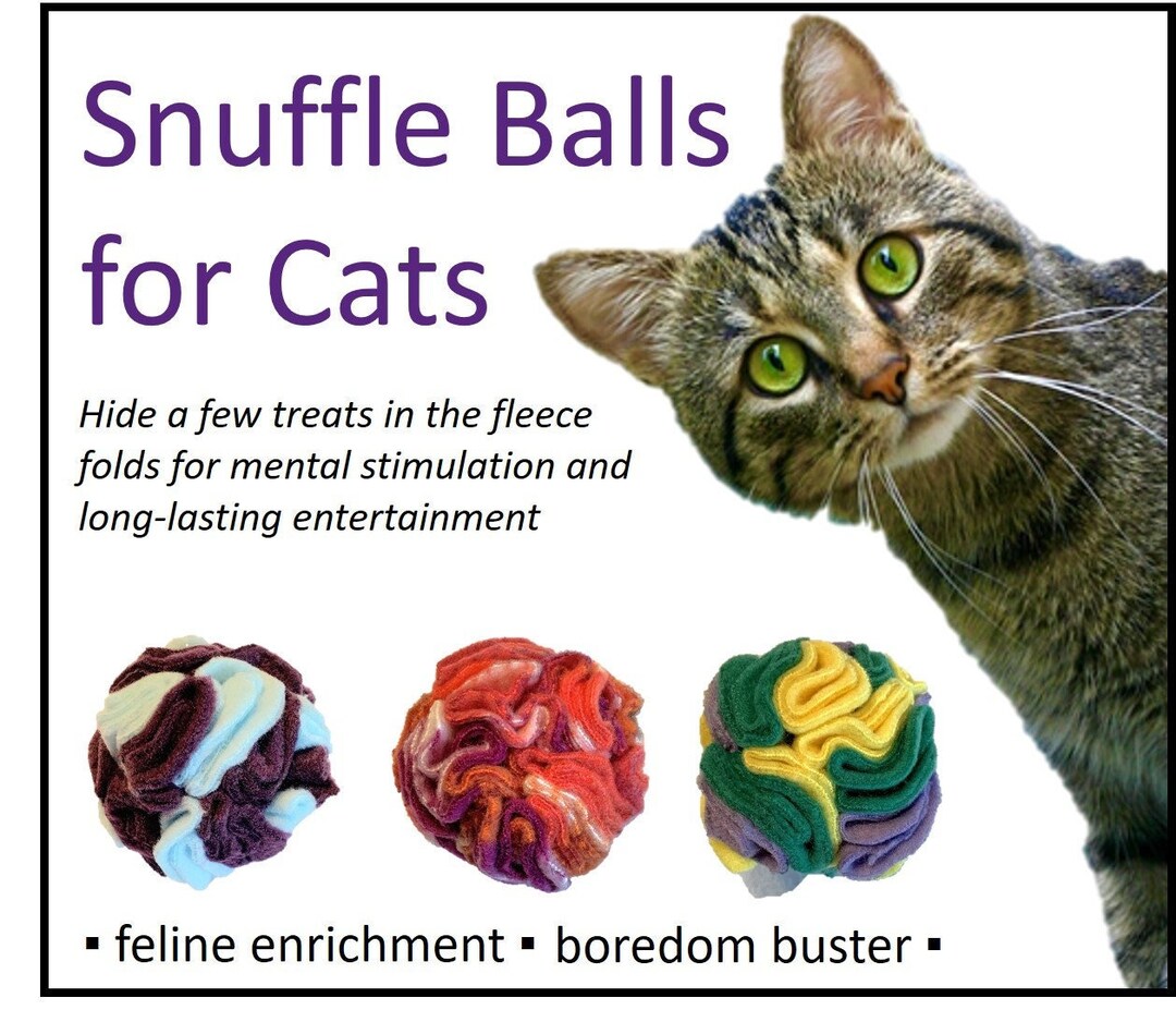 Cat & Kitten Snuffle Ball, Small Foraging Toy for Feline Enrichment ...