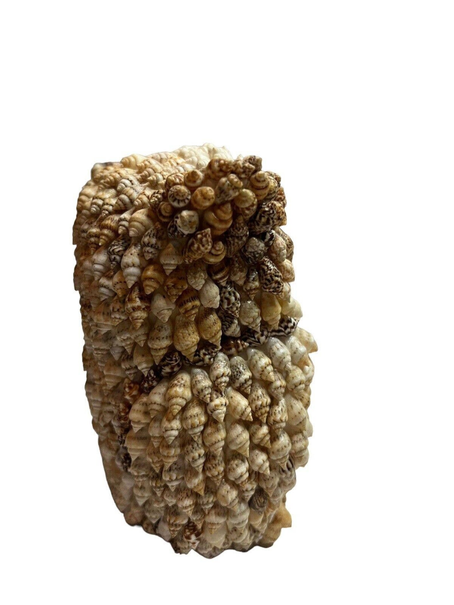 Vintage Sea Shell Owl Figurine Folk Art Bird Statue Kitschy Beach Decor ...