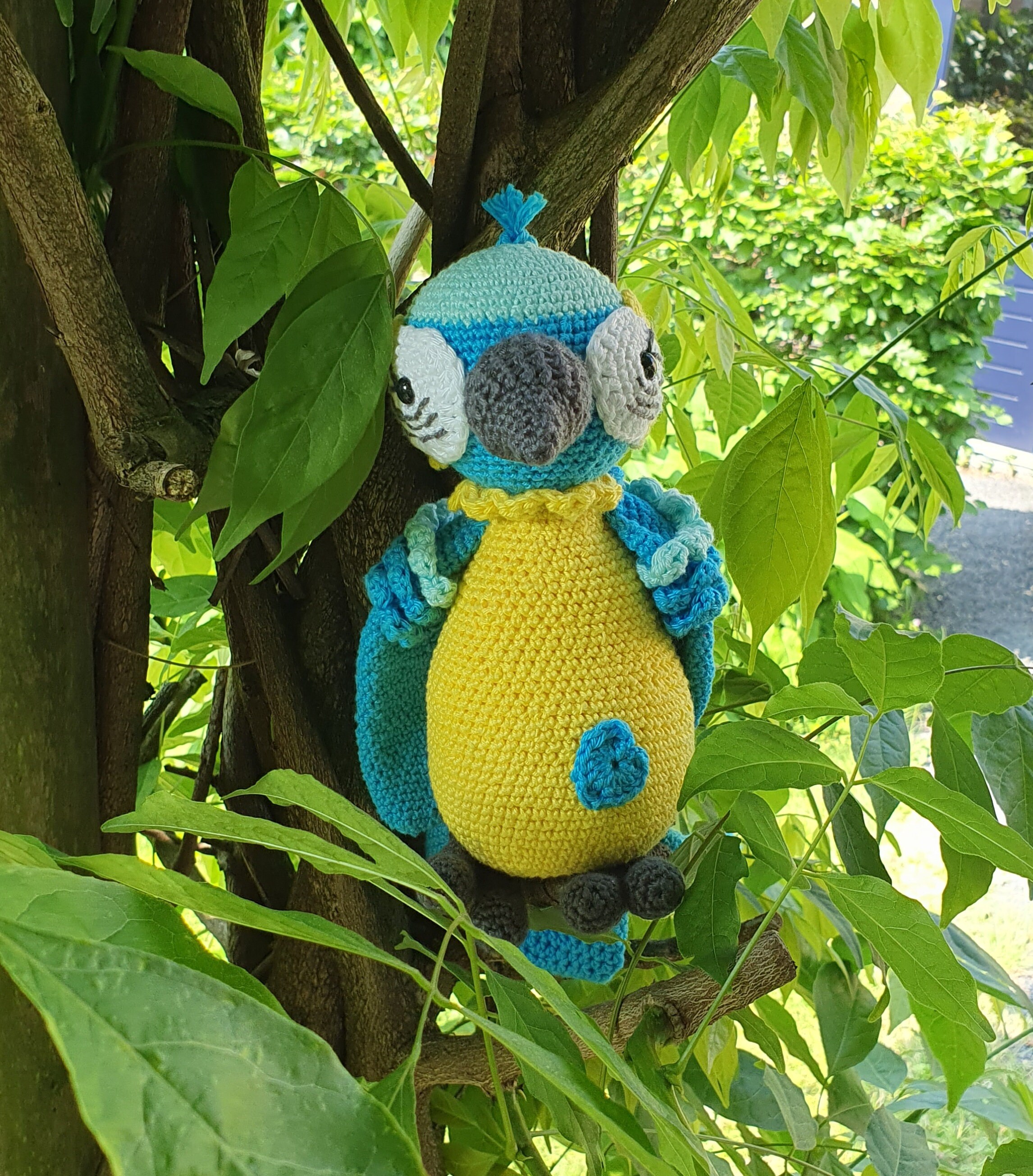 Parrot Felipe Pdf Dutch Crochet Pattern - Etsy