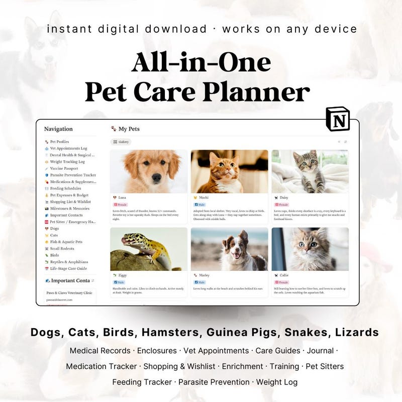 Notion Pet Dashboard - Etsy UK